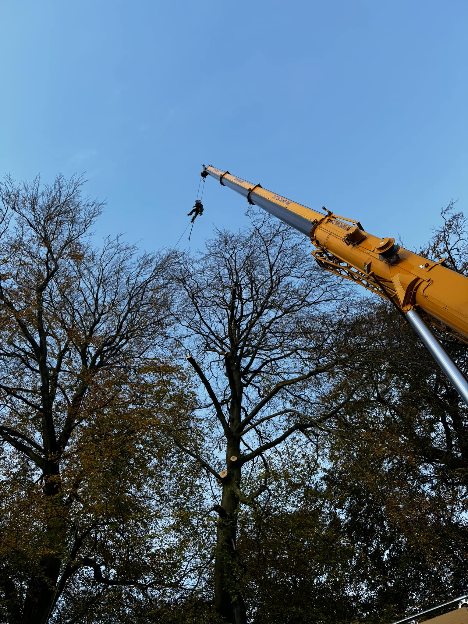 Emergency Tree Work Blackburn | NorthernArb Tree Services